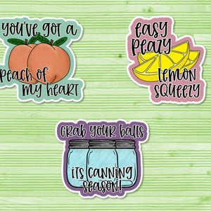 Food Pun Stickers | Laminated Stickers | Funny Food Decals | Dad Joke ...