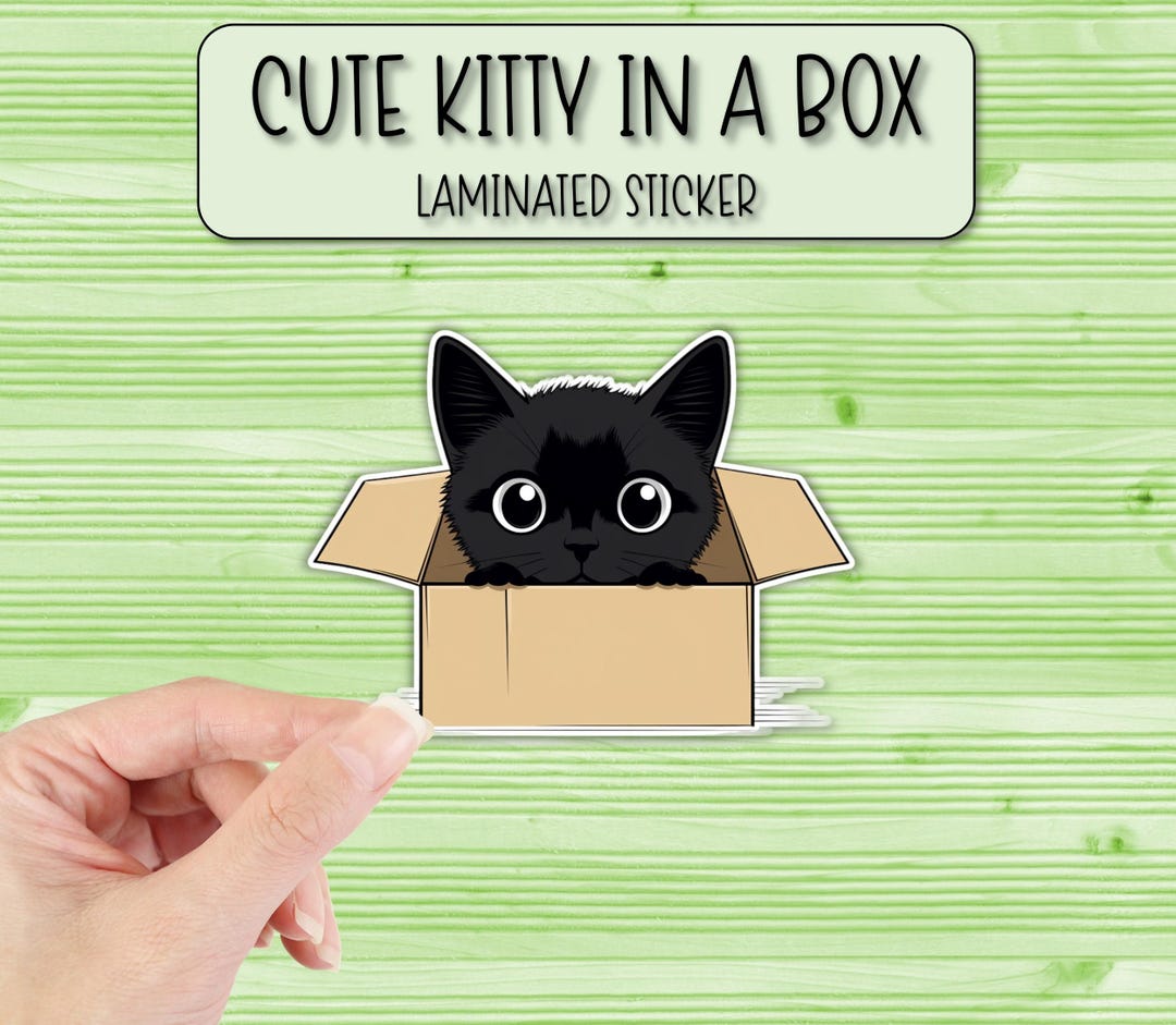 Cute Kitty in Box Sticker | Laminated Stickers | Cat Sticker | Kitten ...
