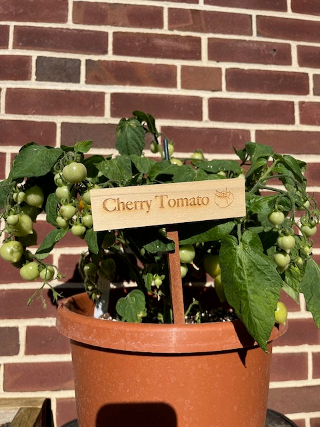 Custom Garden Tags - Etsy