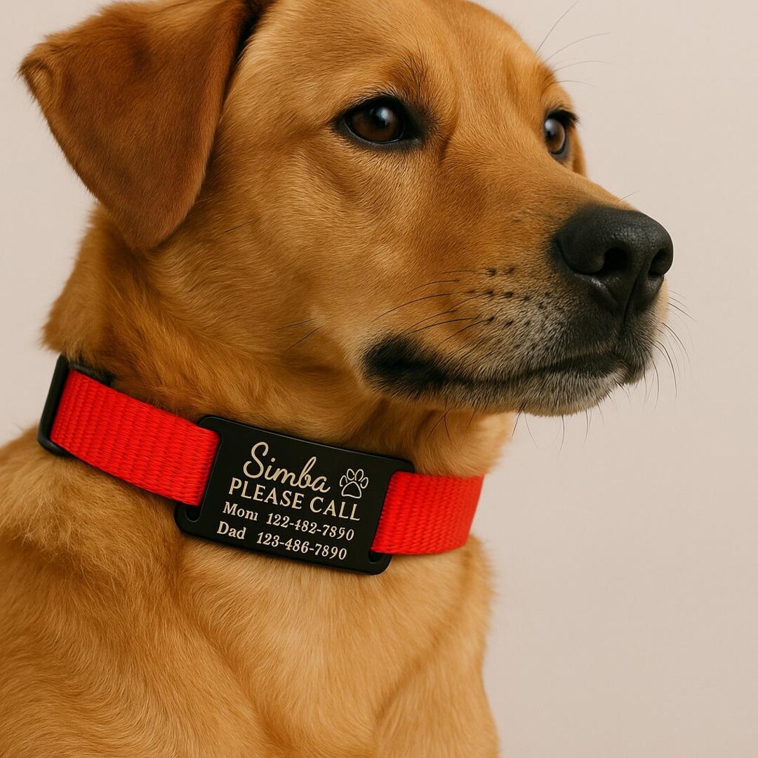 No Noise Dog Tag