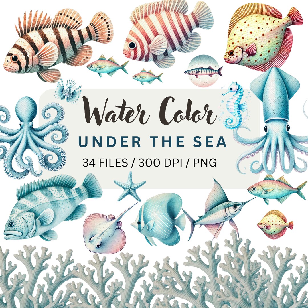 Under the Sea Clipart Bundle Ocean Themed Digital Illustrations Marine ...