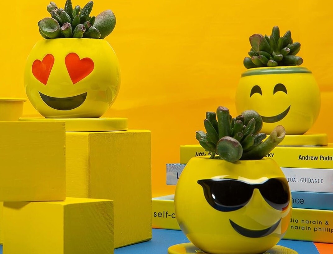 Emoji Planters Set of 6 Ceramic Succulent Plant Pots, With Unique ...