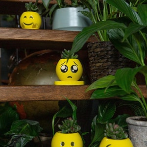 Emoji Planters Set of 6 Ceramic Succulent Plant Pots, With Unique ...