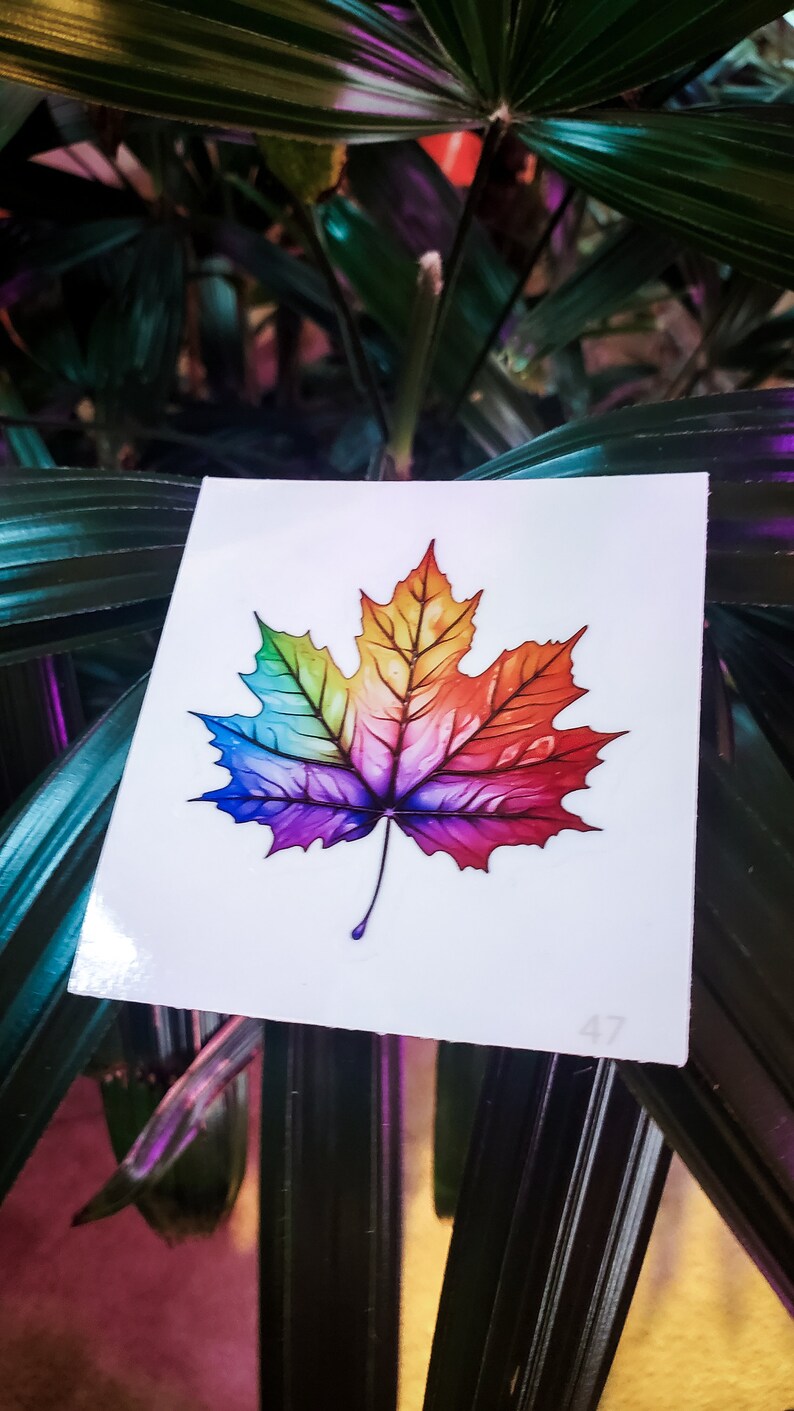 Rainbow Maple Leaf Sticker - Etsy