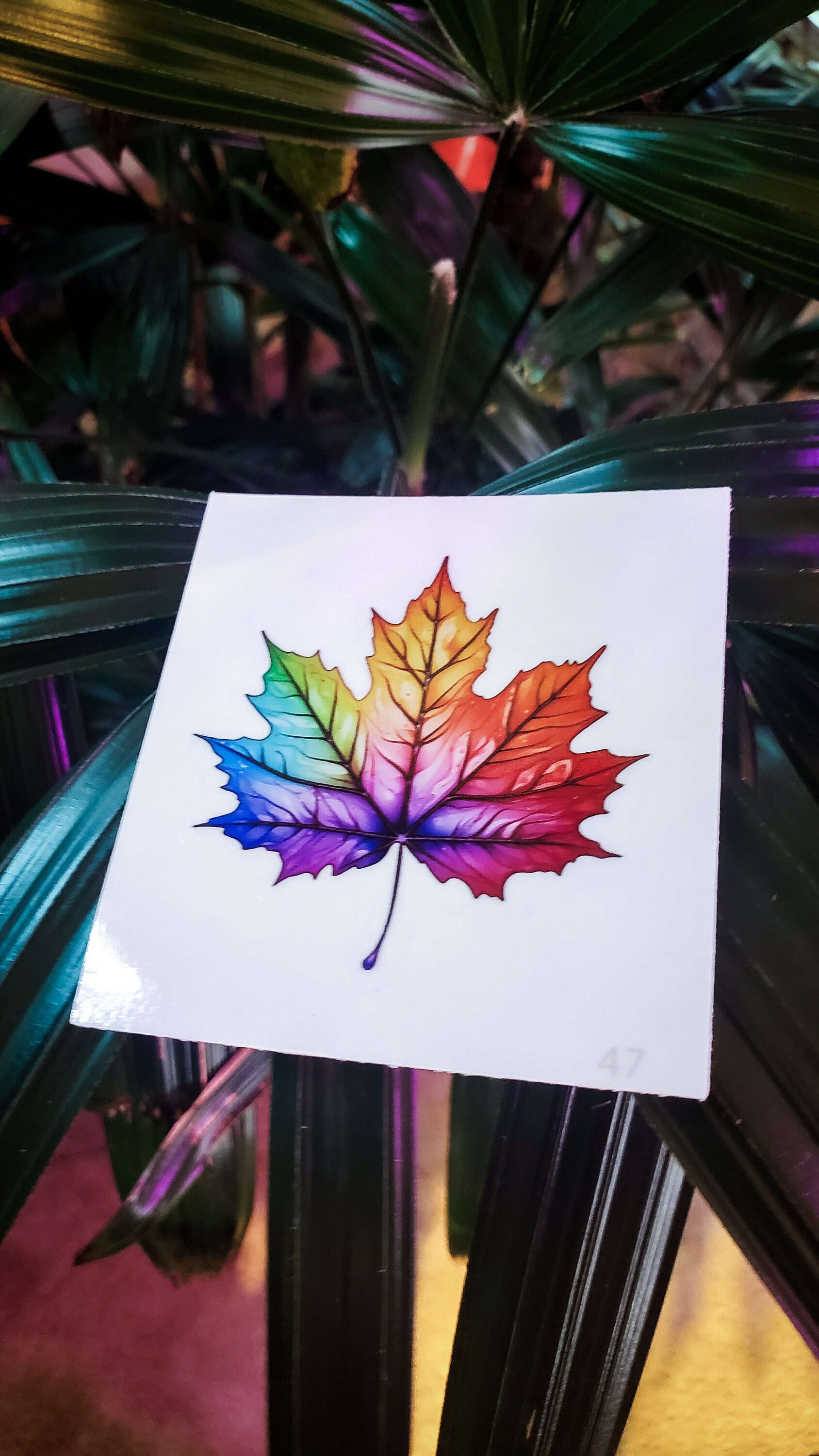 Rainbow Maple Leaf Sticker - Etsy