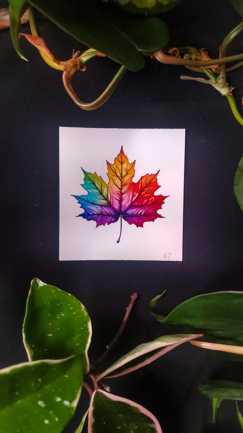 Rainbow Maple Leaf Sticker - Etsy