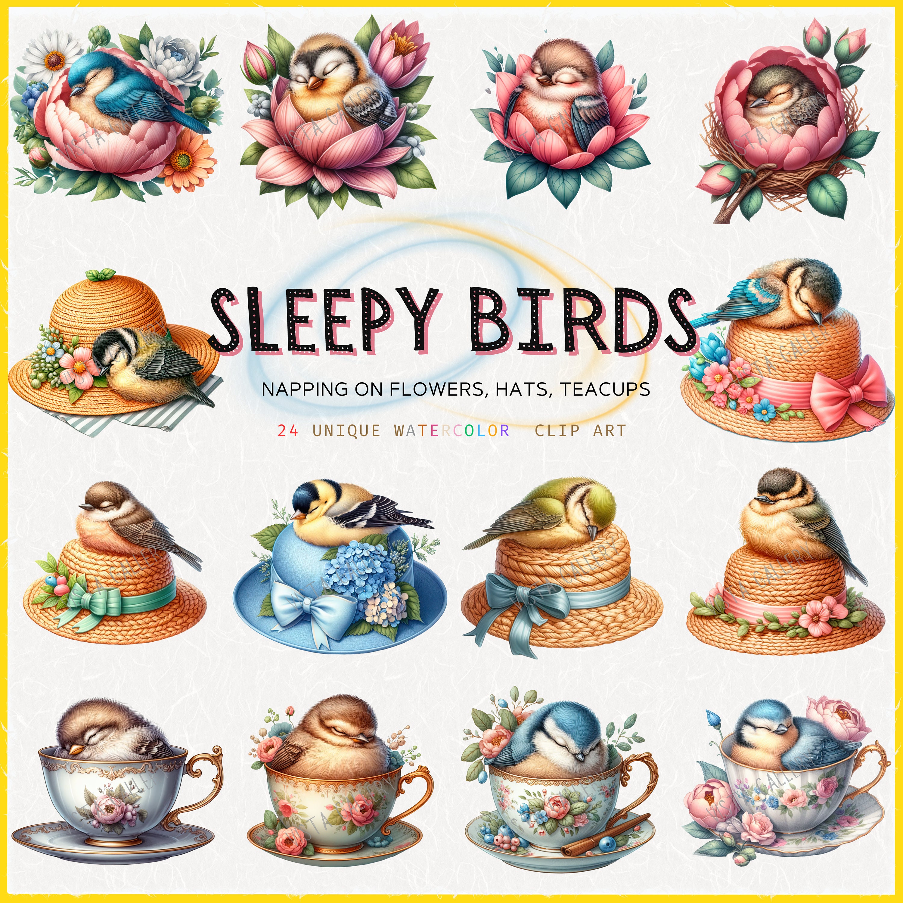 Cute Sleepy Birds Clipart, 3D Illustration Collection for Spring Decor ...