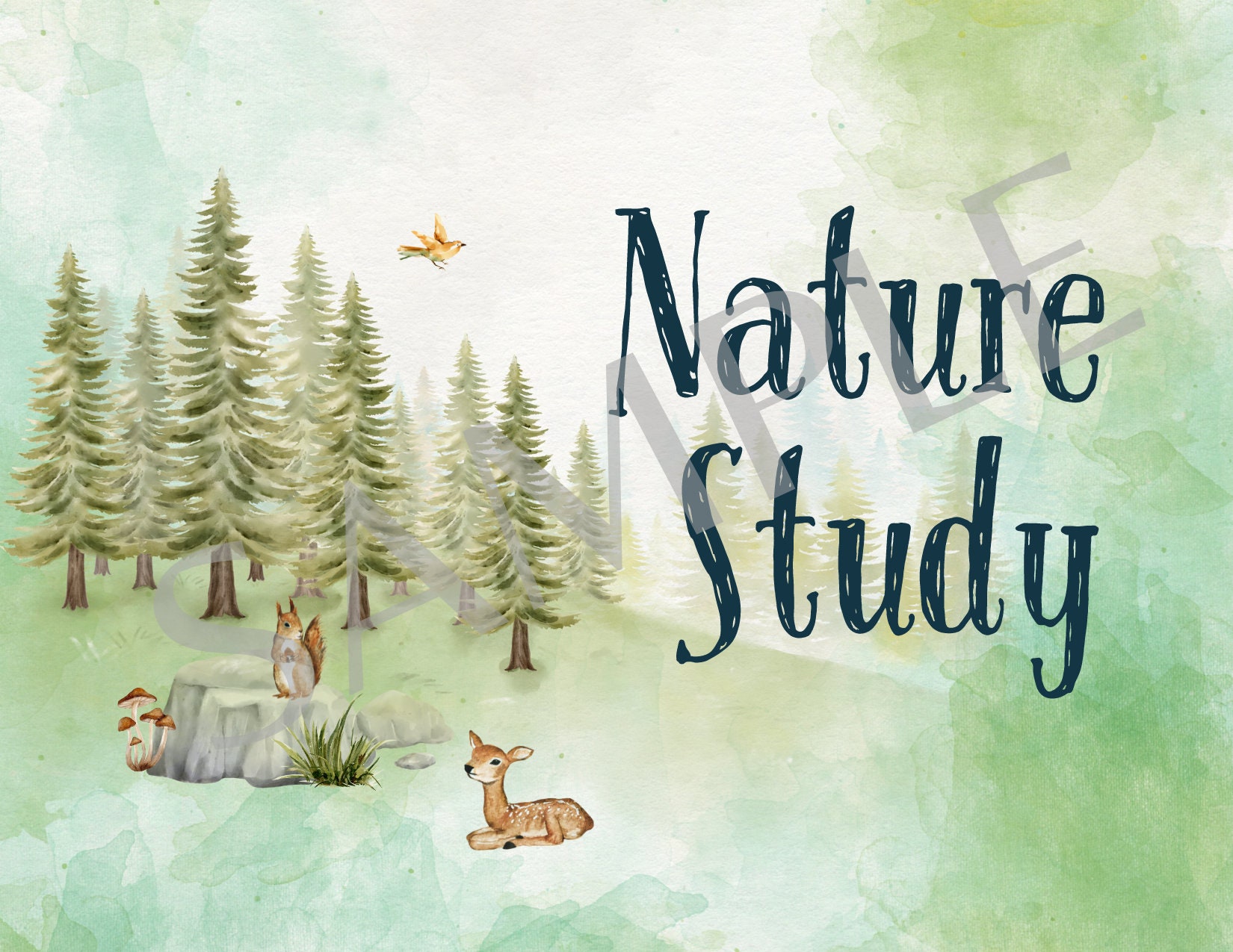 Homeschool Daily Rhythm Cards | Watercolor Visual Schedule | Charlotte ...