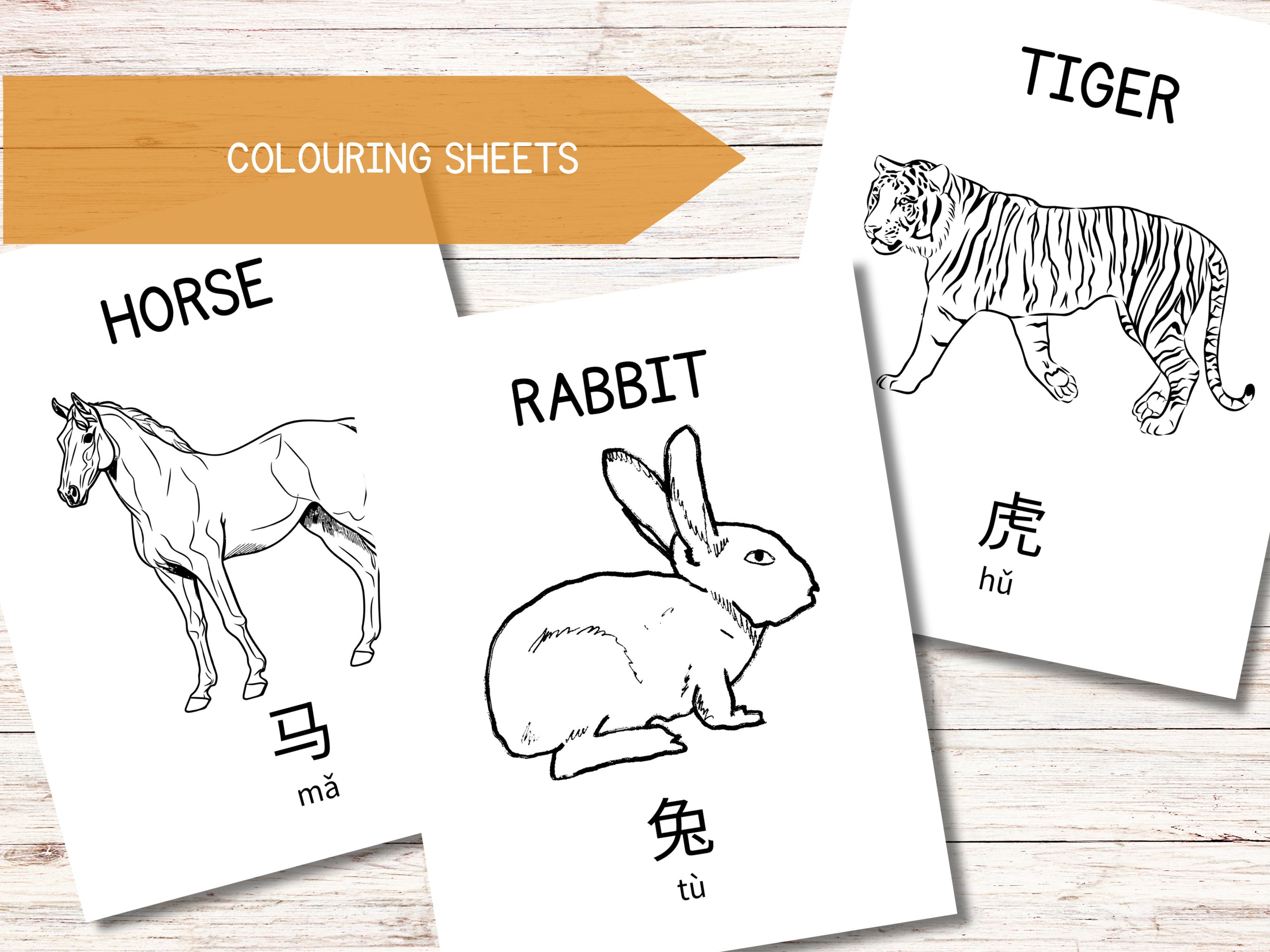 Chinese Zodiac Animal BUNDLE. Great Race Story. Chinese Zodiac Wheel ...