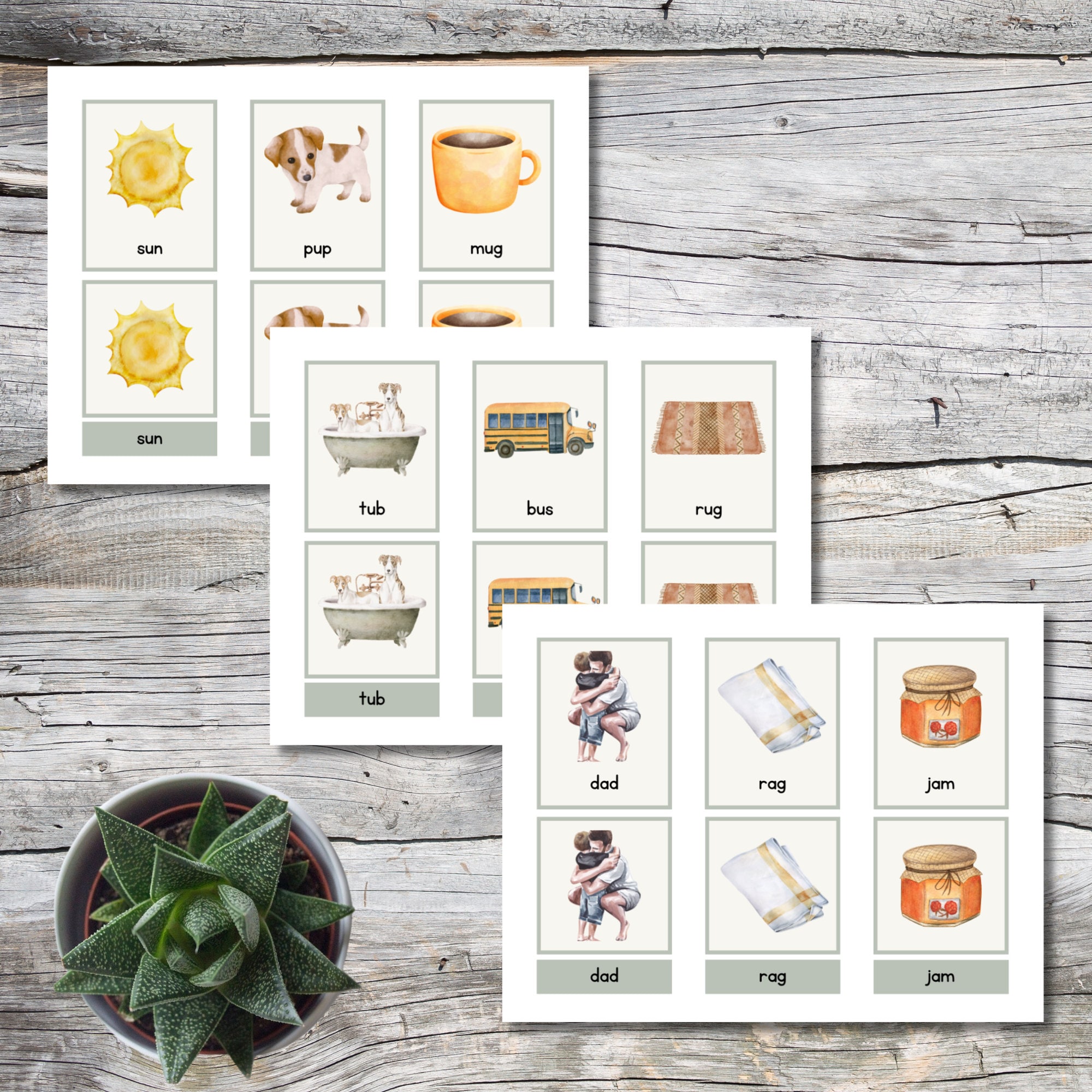 Montessori CVC Phonics 3 Part Cards. Printable CVC Word. - Etsy