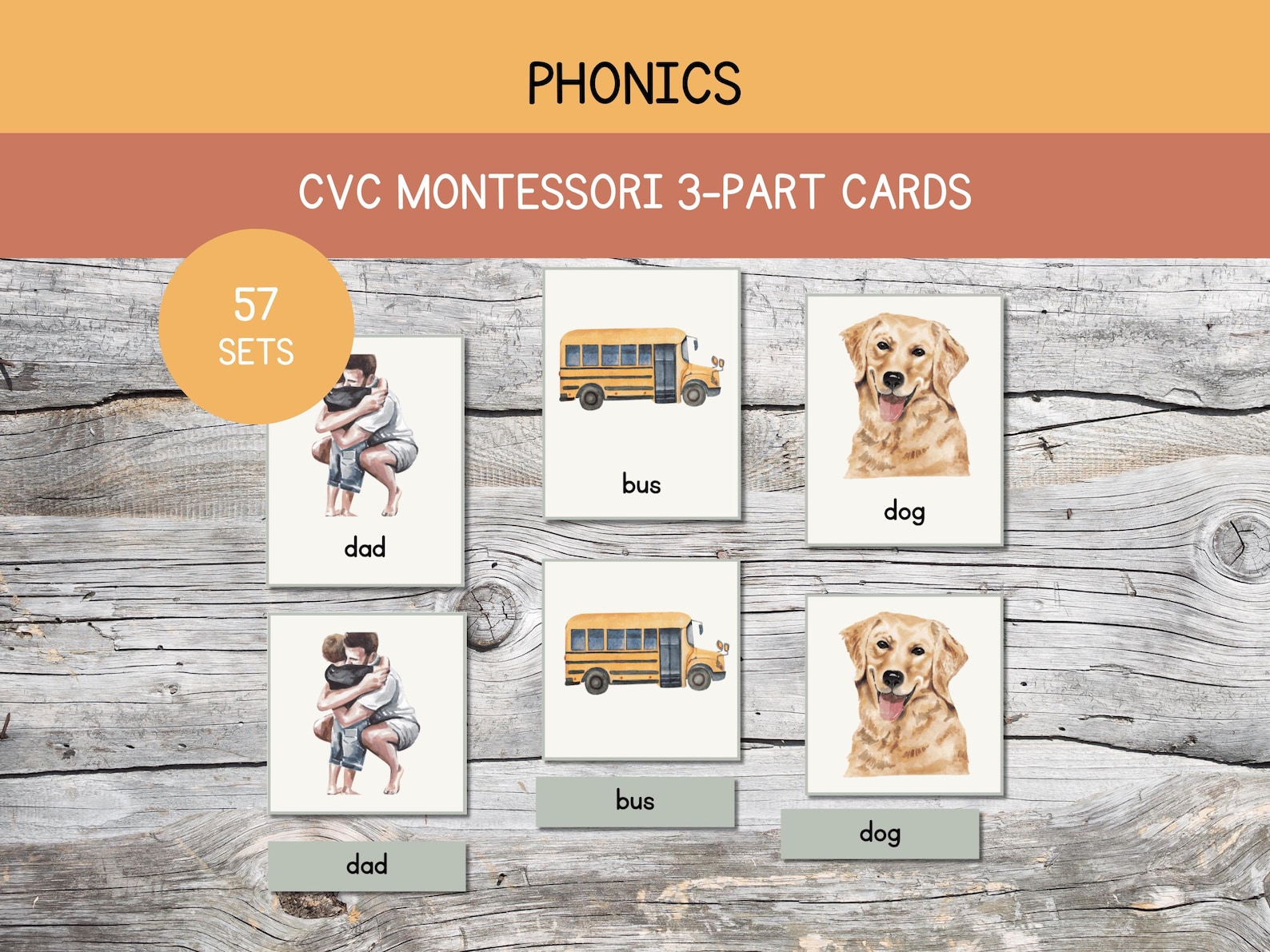 Montessori CVC Phonics 3 Part Cards. Printable CVC Word. Consonants and ...
