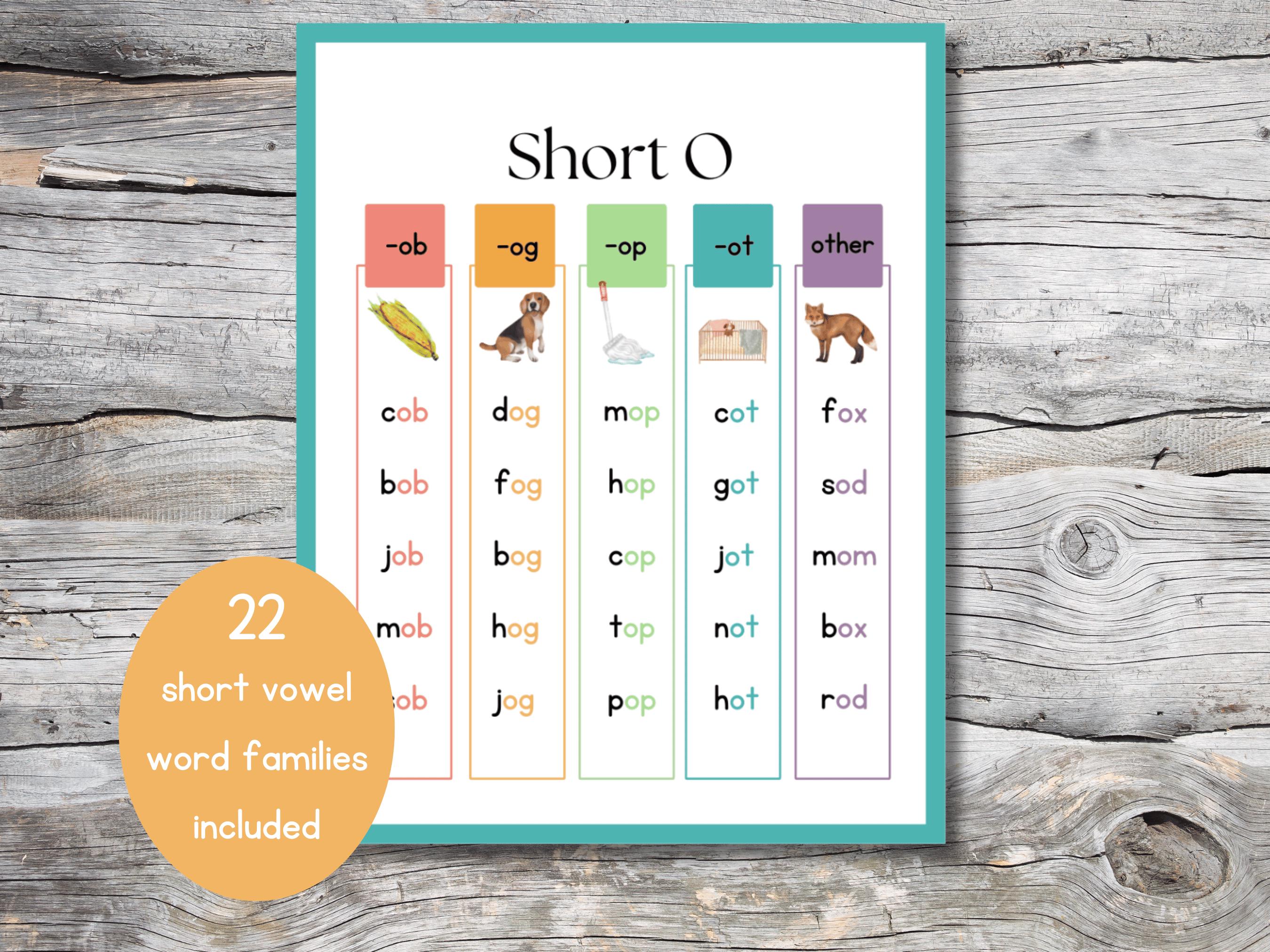 CVC Words List Cards: Short Vowel Phonics (printable) - Etsy