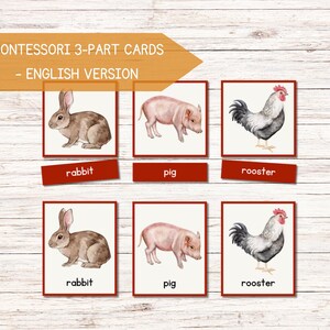 Chinese Zodiac Animals. Montessori 3 Part Cards. Chinese New Year ...
