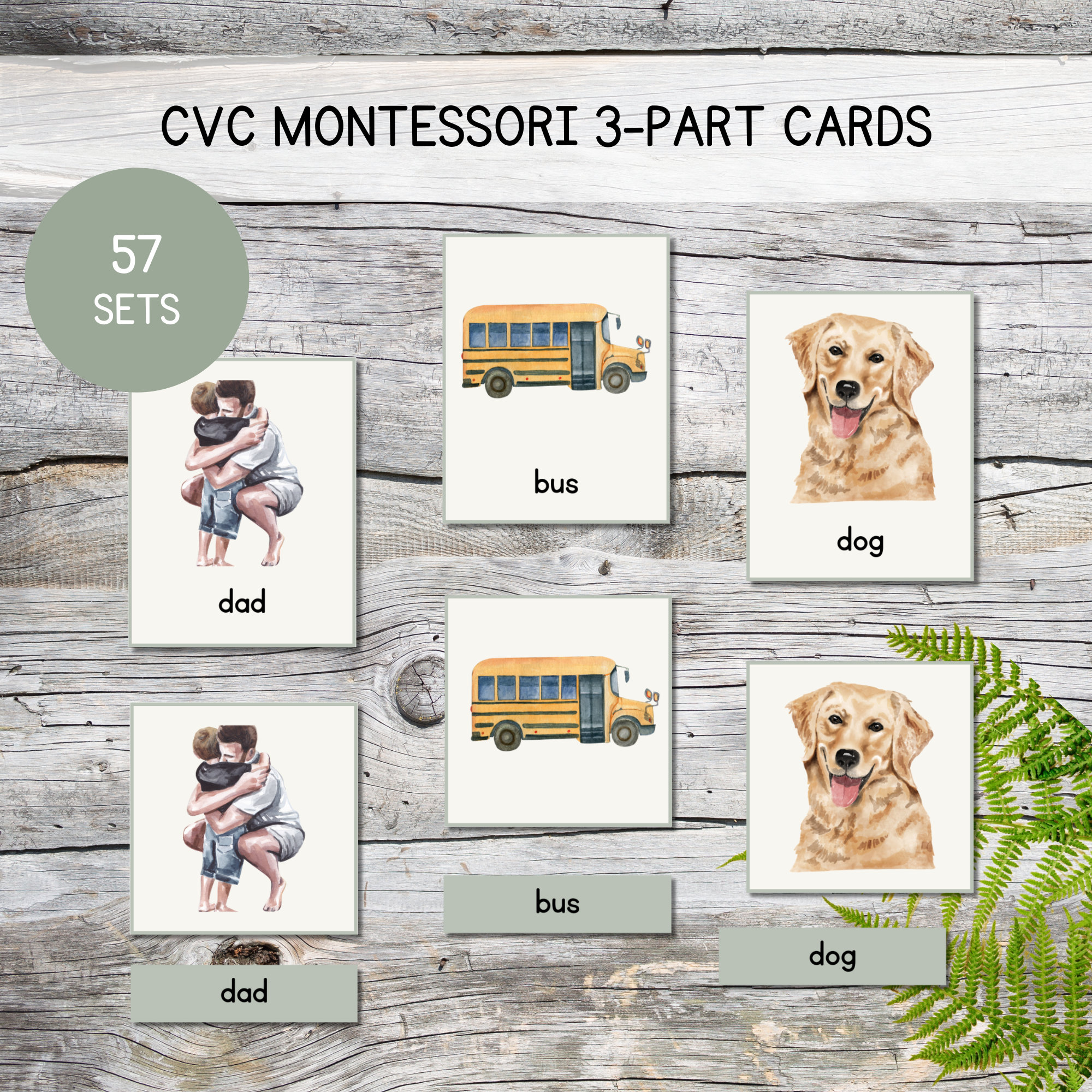 Montessori CVC Phonics 3 Part Cards. Printable CVC Word. - Etsy