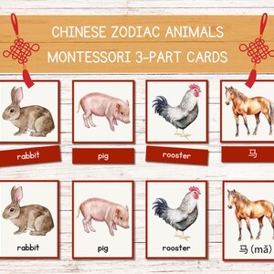 Chinese Zodiac Animals. Montessori 3 Part Cards. Chinese New Year ...
