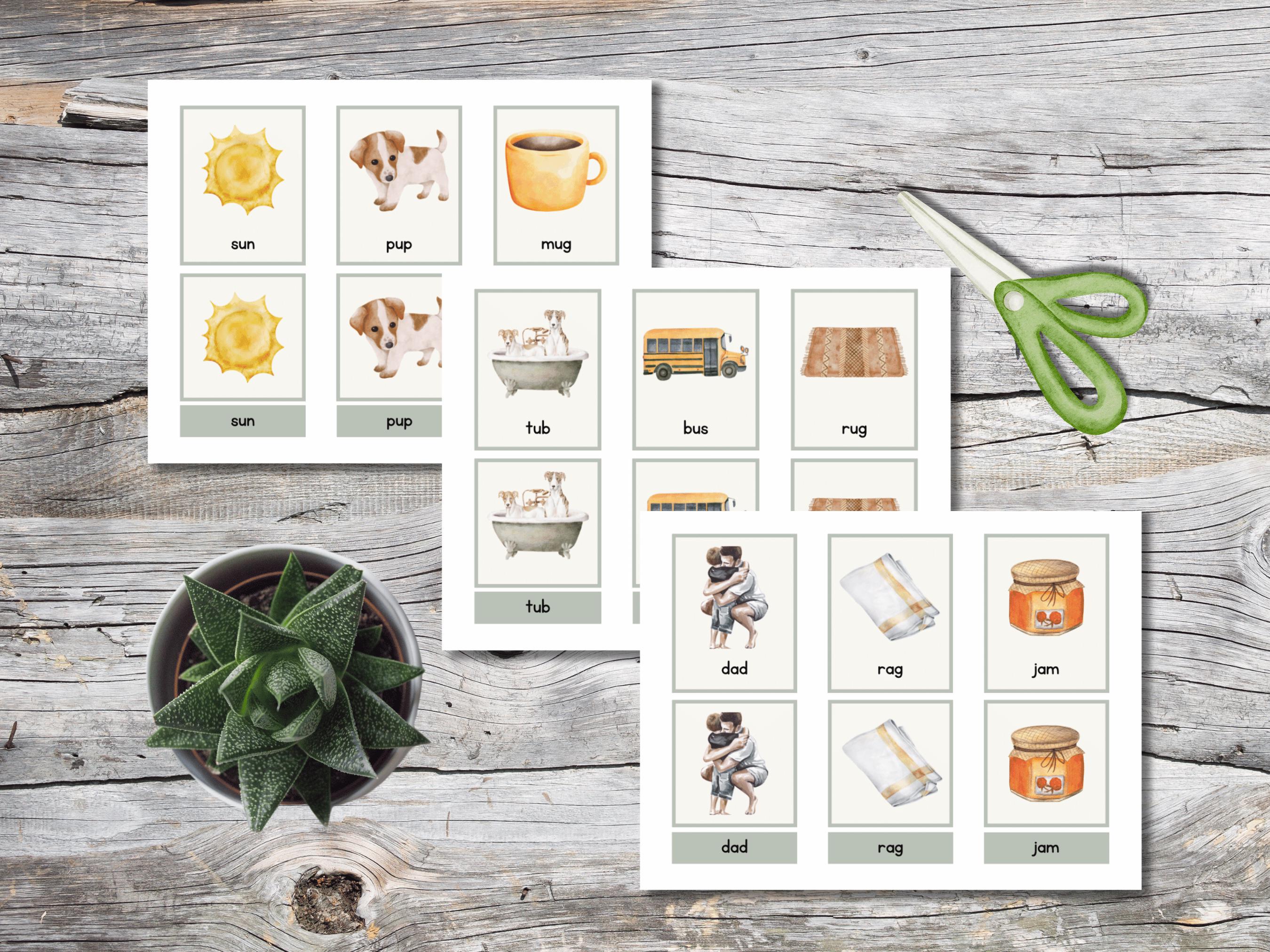 Montessori CVC Phonics 3 Part Cards. Printable CVC Word. Consonants and ...