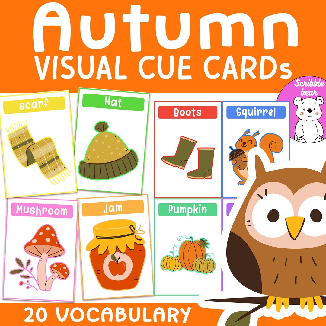20 Autumn Visual Cue Flashcards, Vocabulary Flash Cards Montessori ...