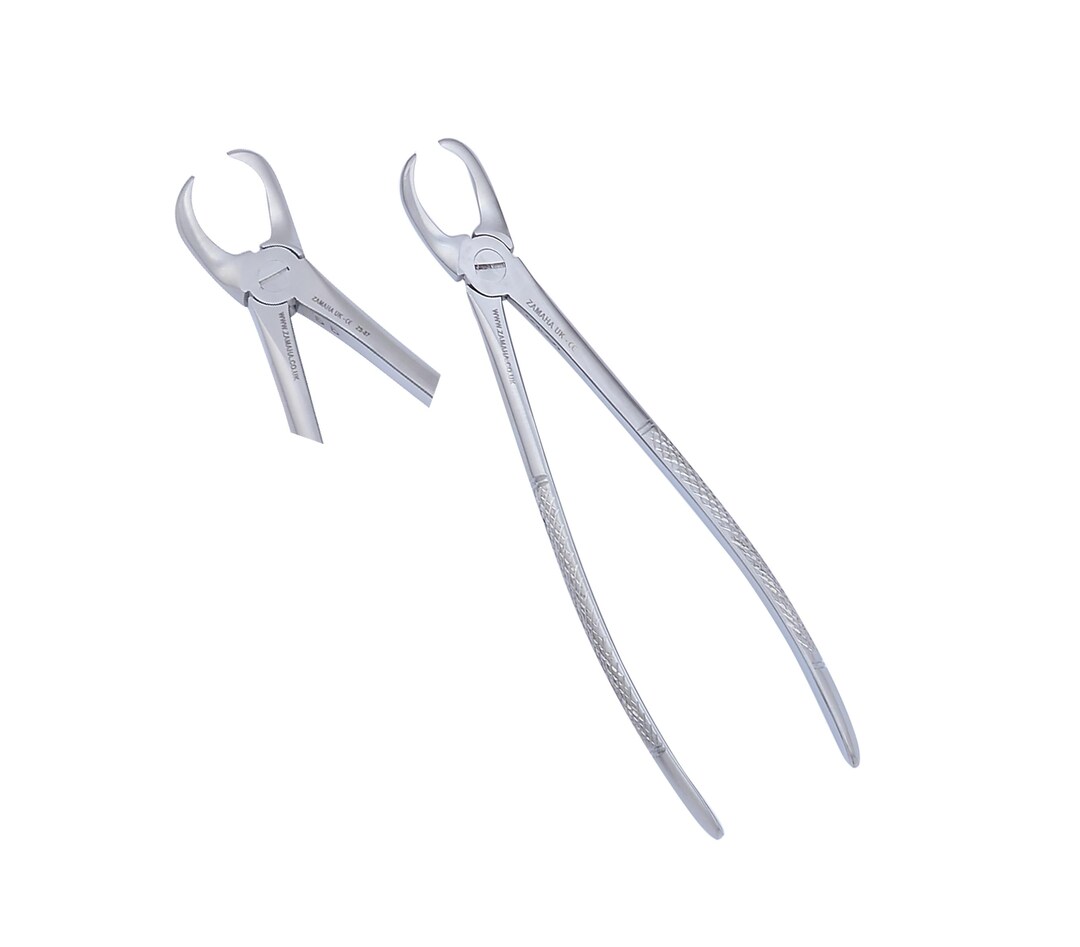 87 Cowhorn Extraction Forceps, Extraction Forceps for Lower Molar ...