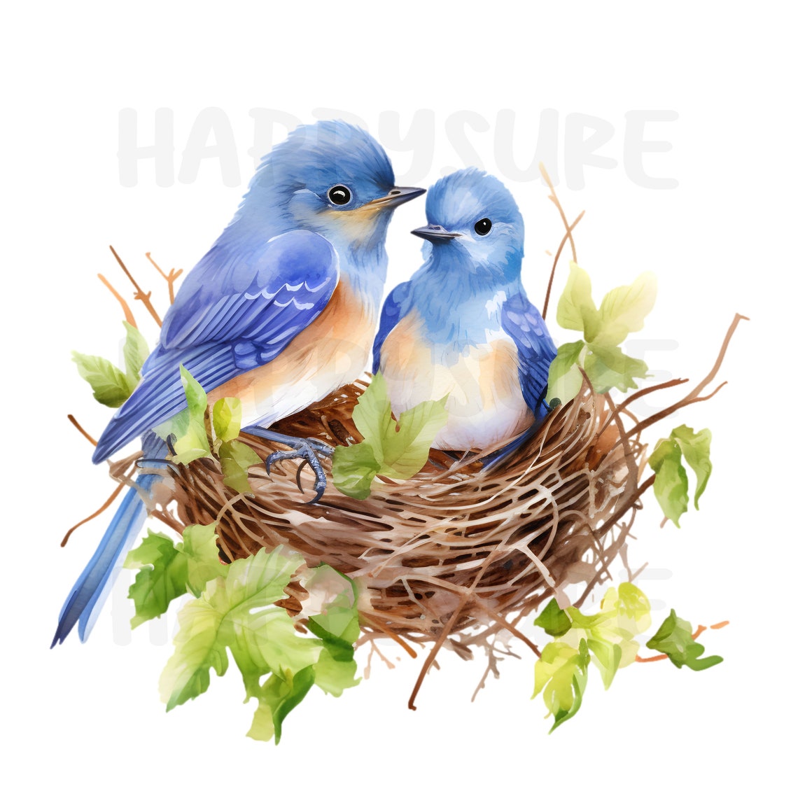 Bird and Nest Clip Art Watercolor Style Available for Both - Etsy