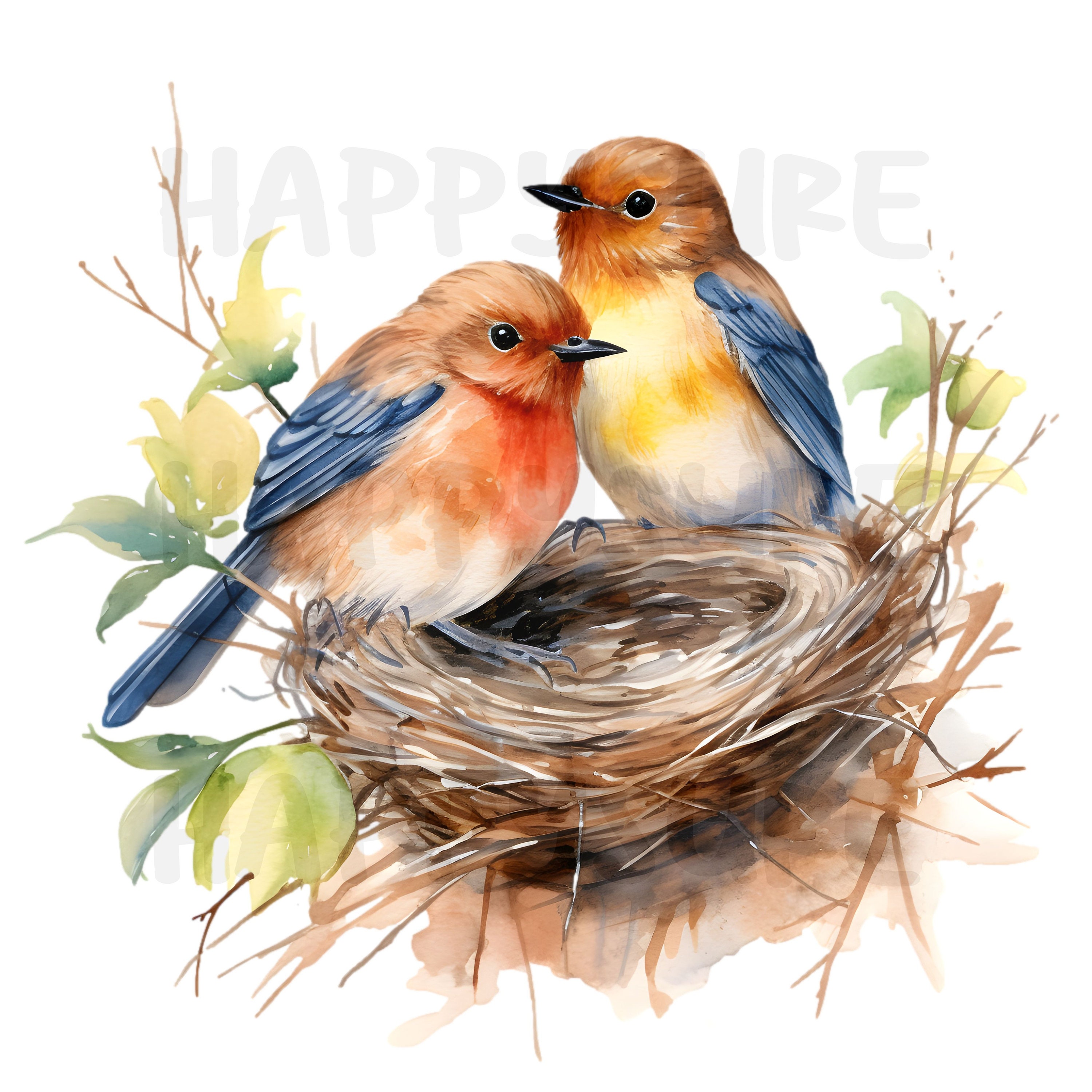 Bird and Nest Clip Art, Watercolor Style, Available for Both Personal ...