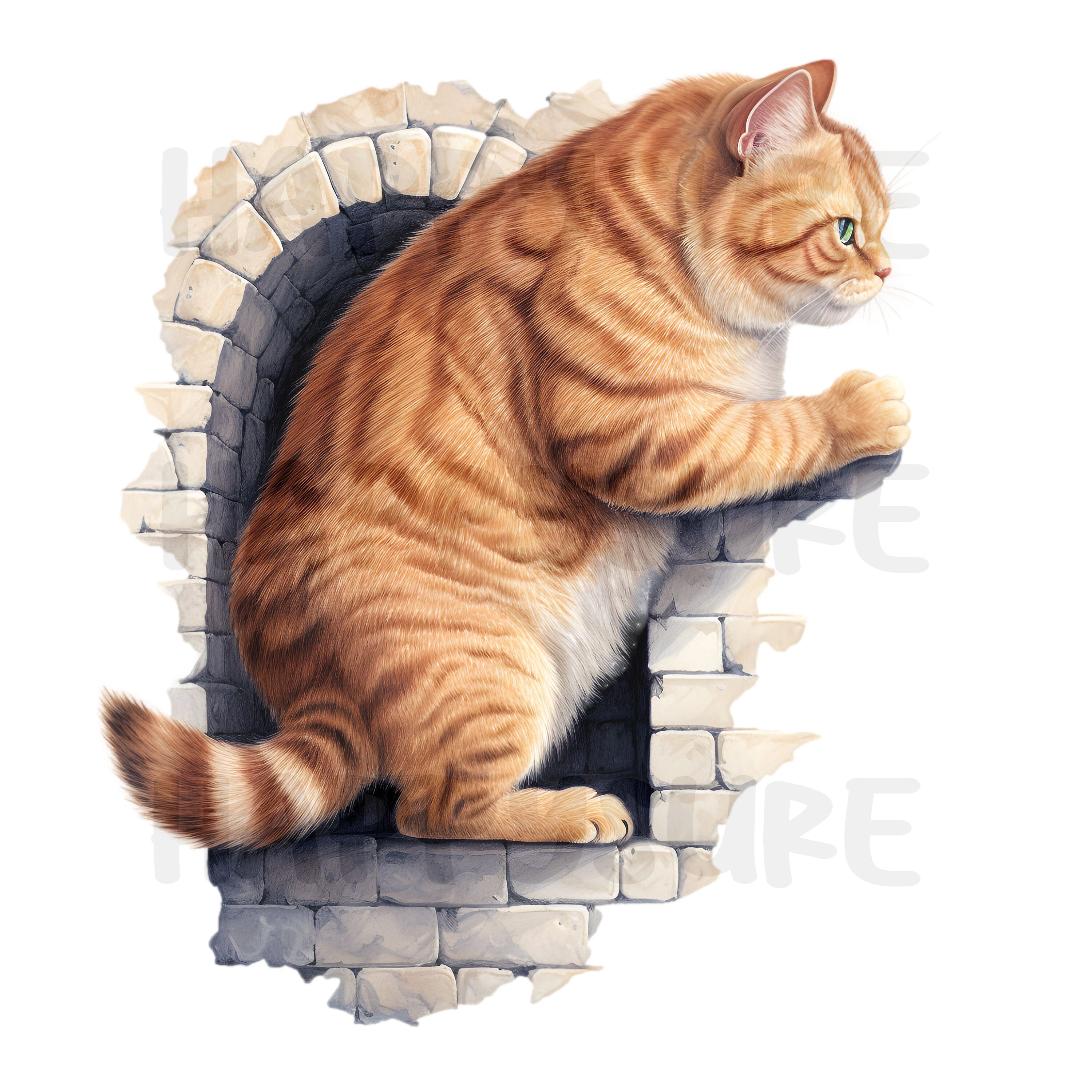 Clip Art of a Fat Orange Cat Secretly Staring. PNG and JPG Files ...