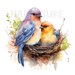 Bird and Nest Clip Art Watercolor Style Available for Both - Etsy