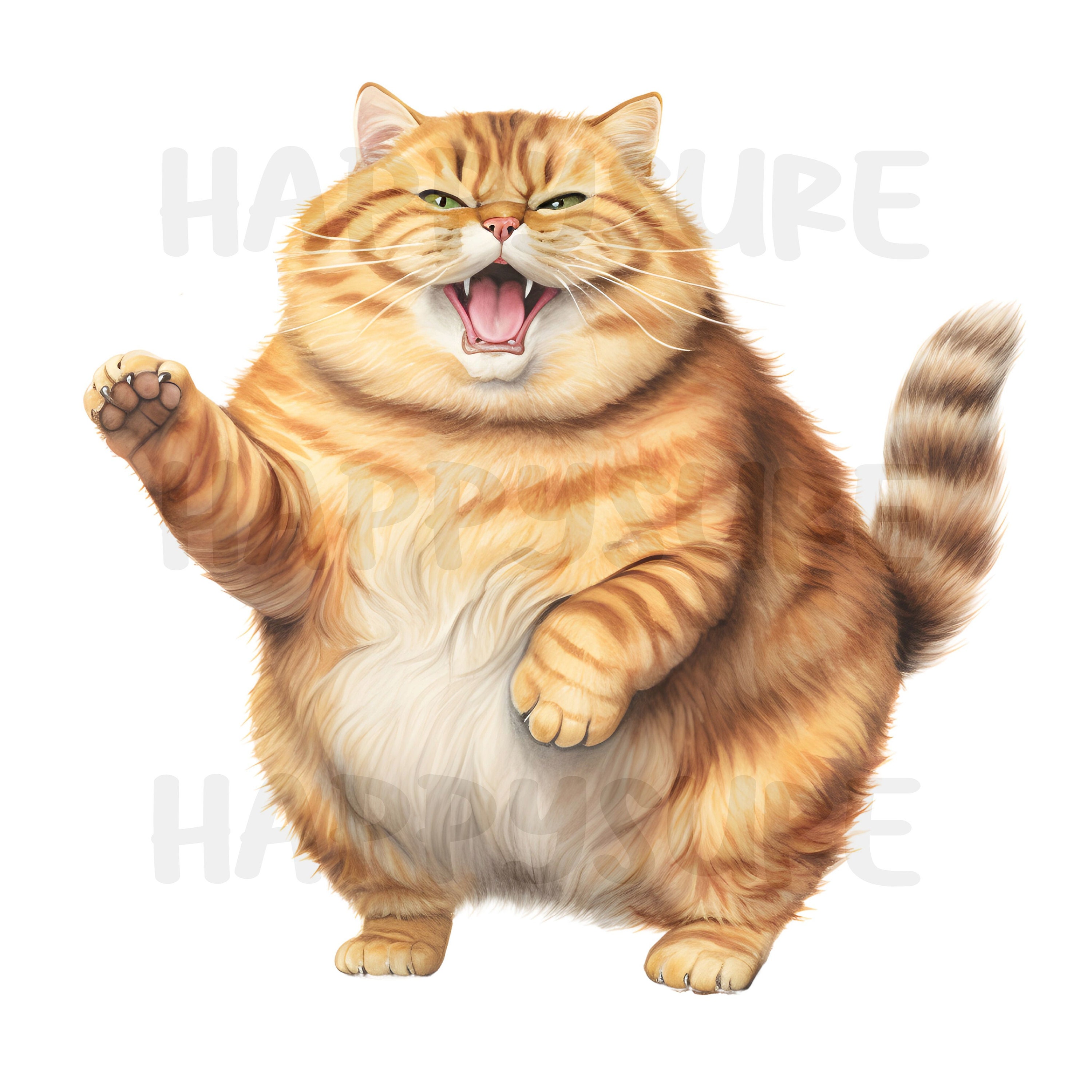 Funny and Playful Fat Cat Clipart. Transparent Background PNG Files ...