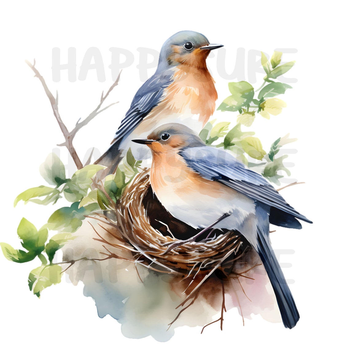 Bird and Nest Clip Art Watercolor Style Available for Both - Etsy