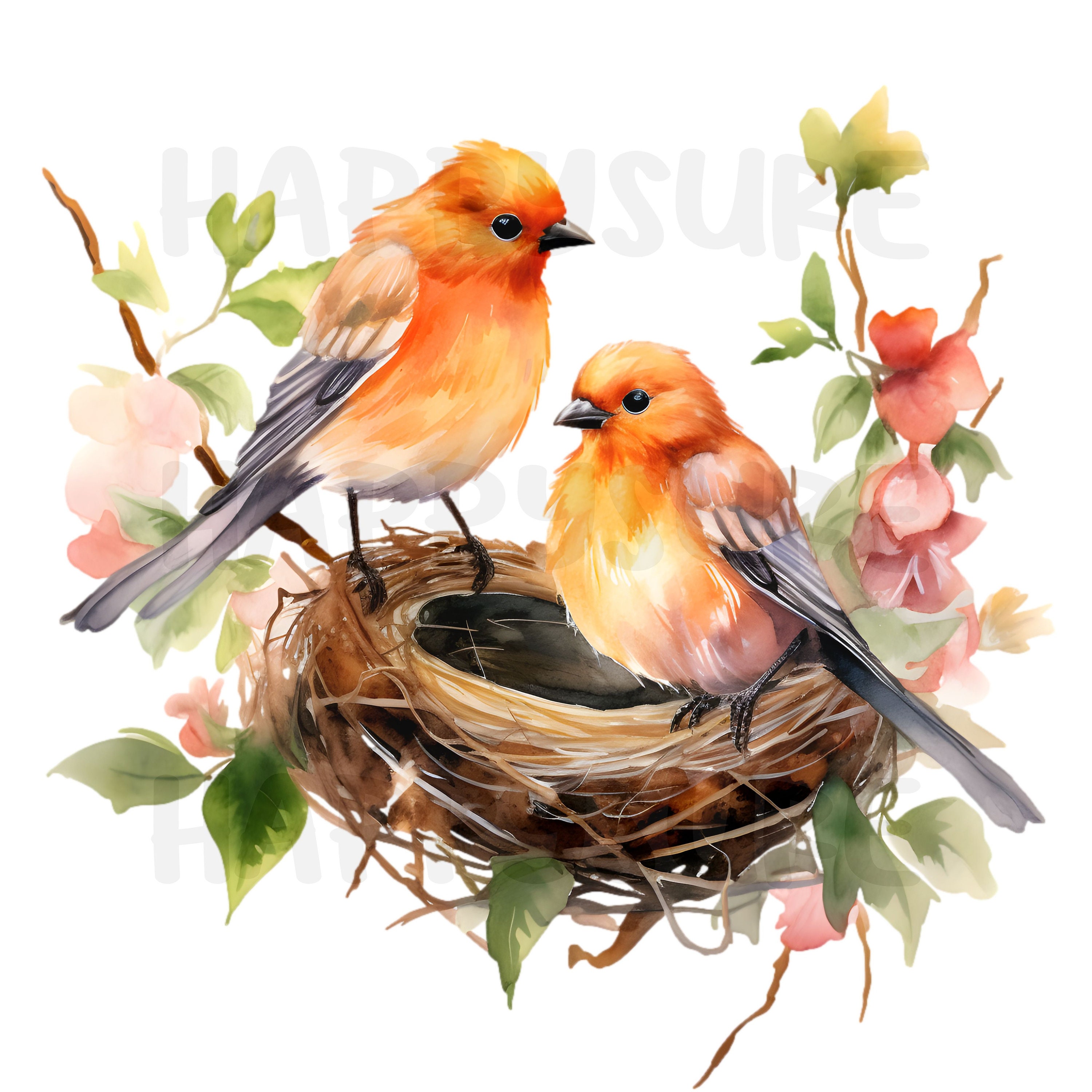 Bird and Nest Clip Art, Watercolor Style, Available for Both Personal ...