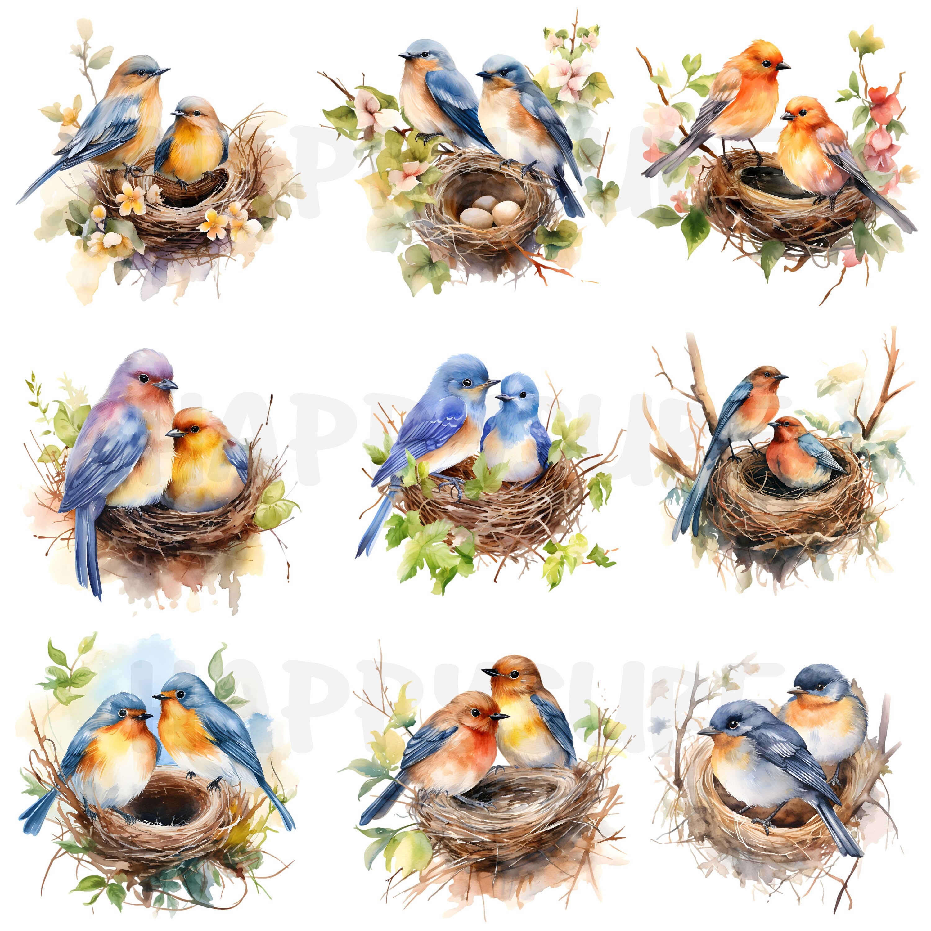 Bird and Nest Clip Art, Watercolor Style, Available for Both Personal ...