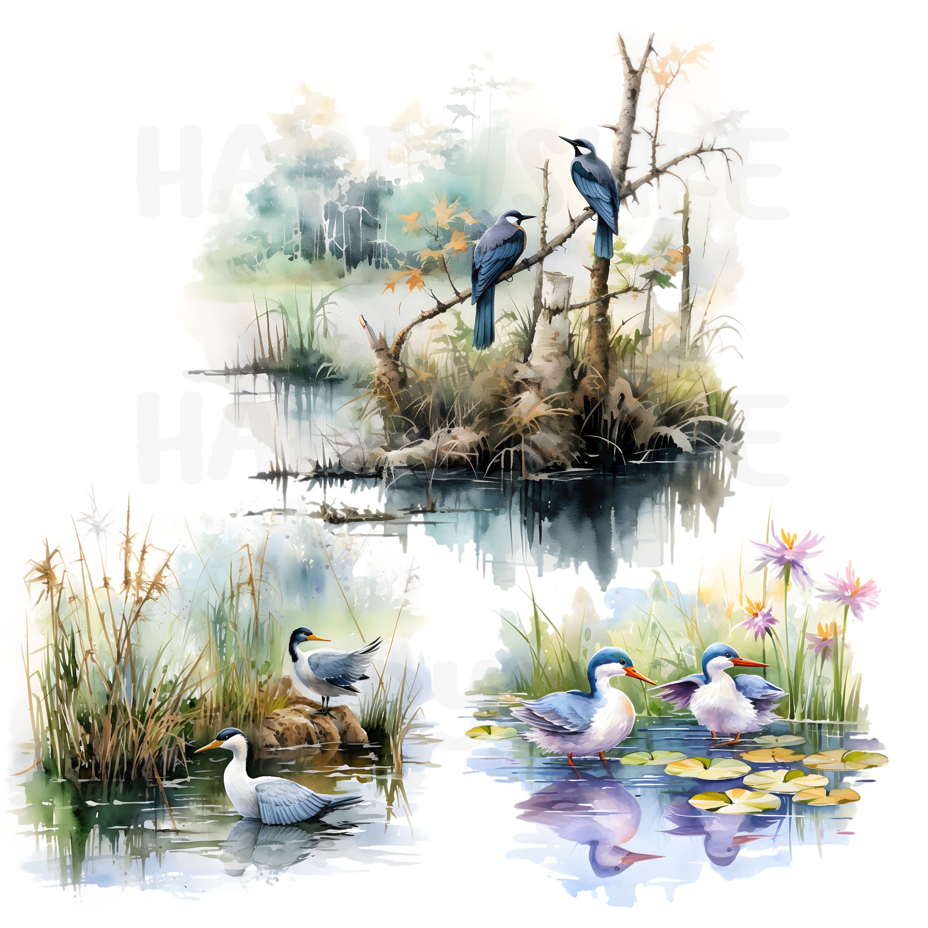Swamp Ecosystem Clip Art in Watercolor Style. Swamp Ecosystem Picture ...