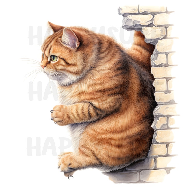 Clip Art of a Fat Orange Cat Secretly Staring. PNG and JPG Files ...