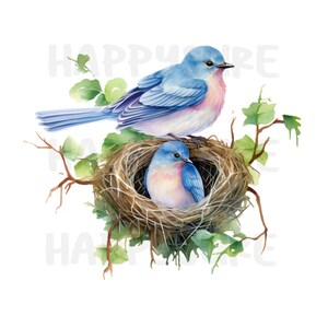 Watercolor Bird and Nest Clip Art (PNG JPG Files) - Etsy