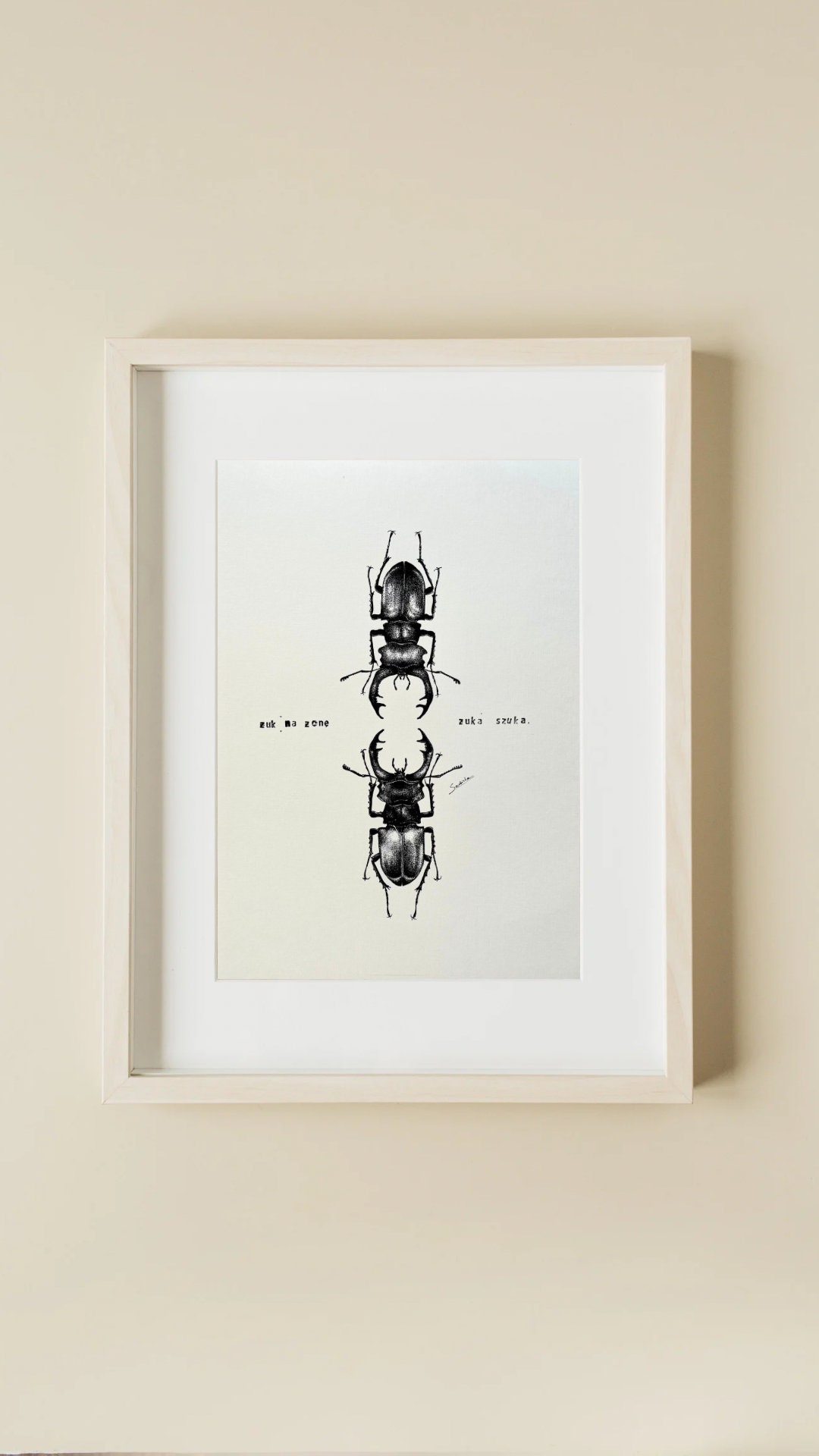 Beetles Poster Graphic Beetles Drawing Illustration A3 Print - Etsy