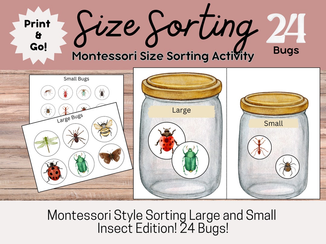 24 Bug Size Sorting Activity, Montessori Style, Preschool Math, Speech ...