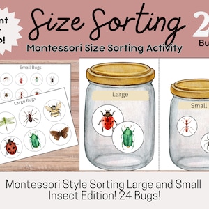 24 Bug Size Sorting Activity, Montessori Style, Preschool Math, Speech ...
