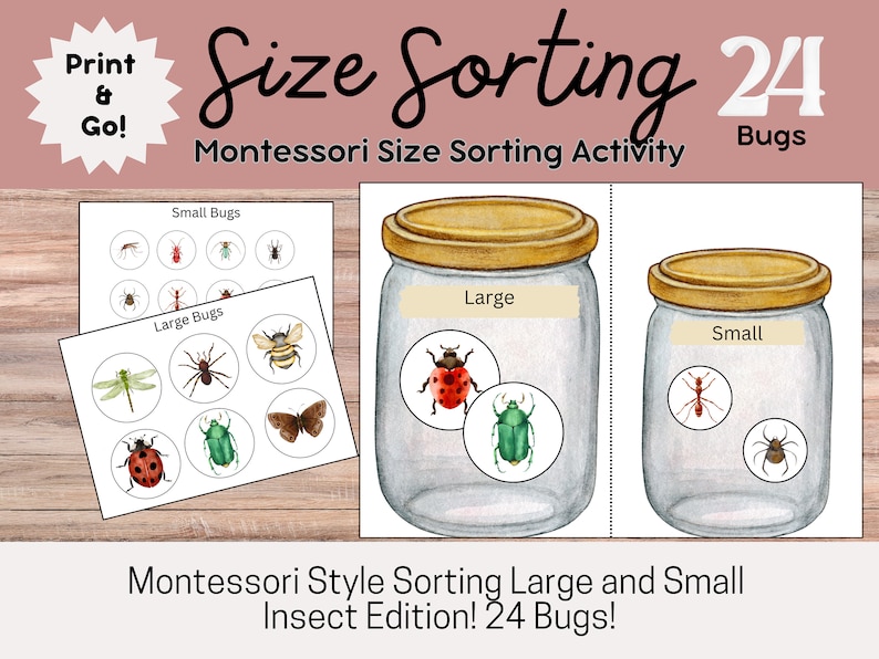 24 Bug Size Sorting Activity, Montessori Style, Preschool Math, Speech ...