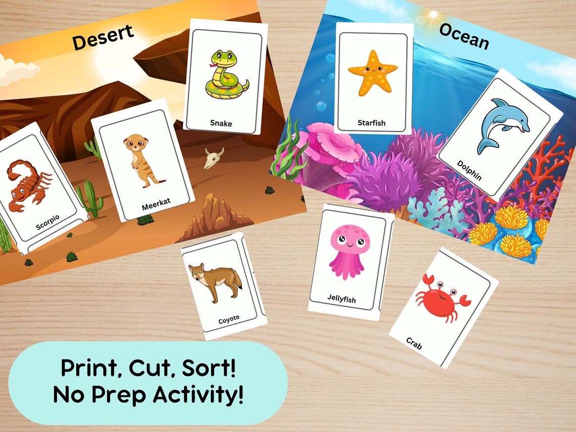 96 Category Matching Flashcard Picture Scene Bundle, Speech Therapy ...