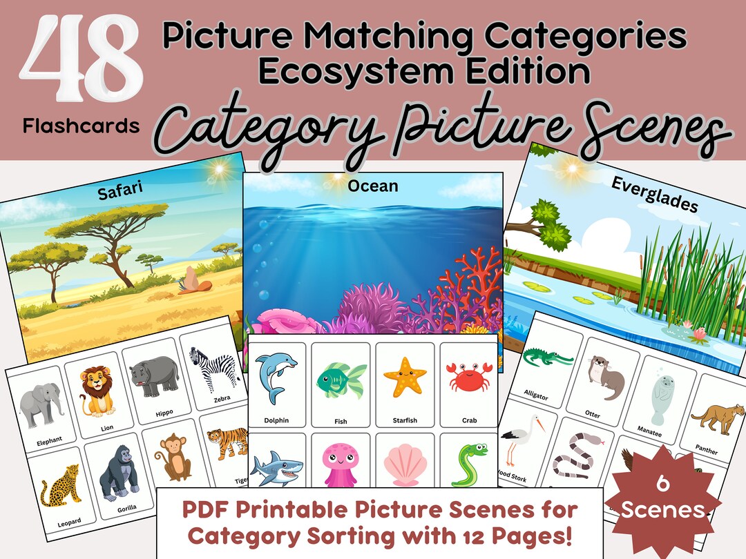 Category Sorting Mats, Speech Therapy Picture Scenes, 6 Scenes, 42 ...