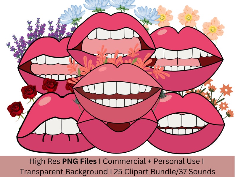 Articulación de formas de boca Clipart, Fonética Posición de la boca ...