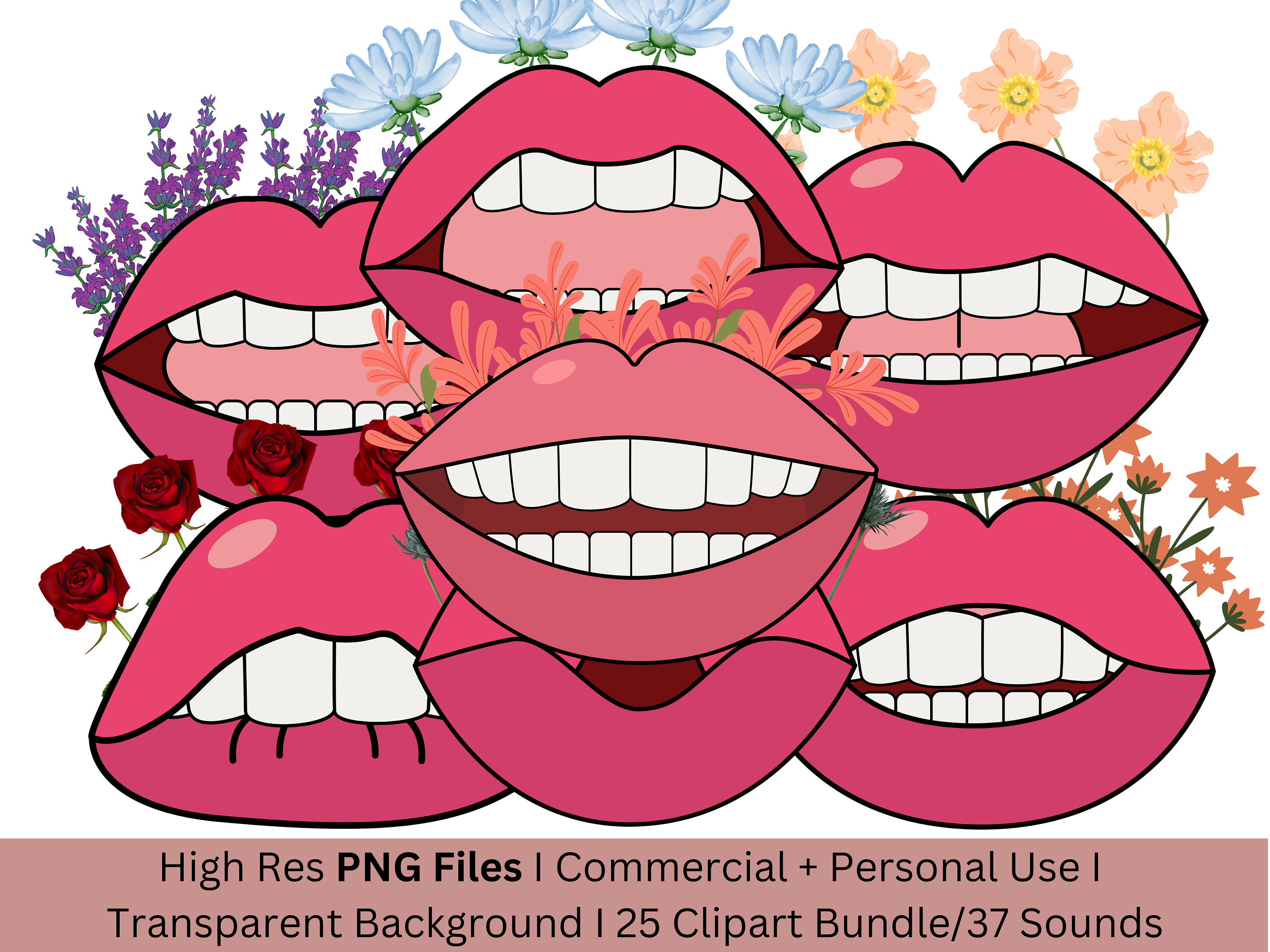 Articulation Mouth Shapes Clipart, Phonics Mouth Position Consonants ...
