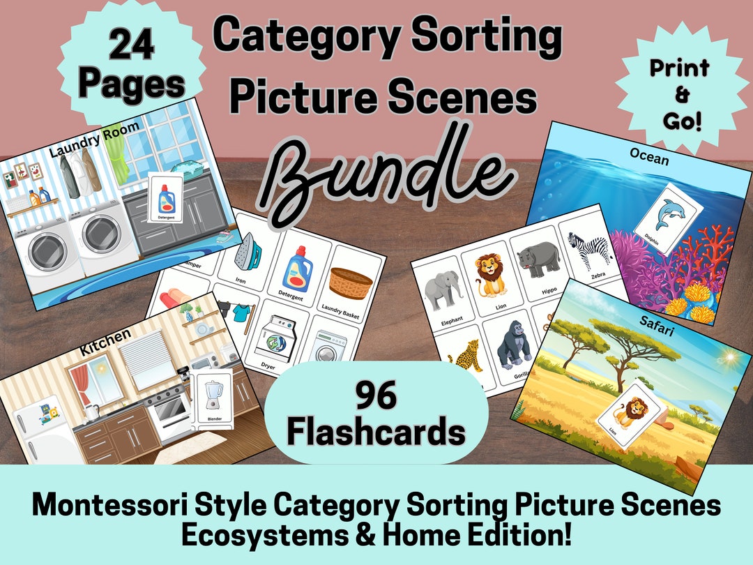 96 Category Matching Flashcard Picture Scene Bundle, Speech Therapy ...