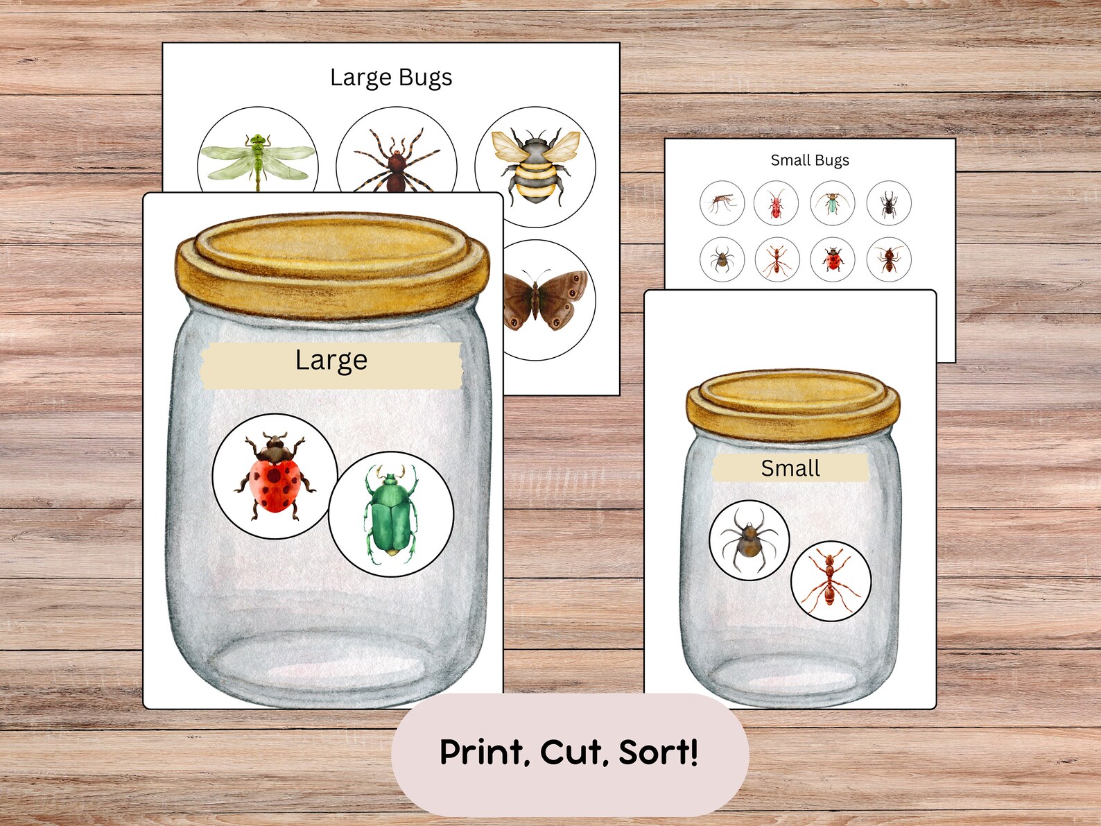 24 Bug Size Sorting Activity, Montessori Style, Preschool Math, Speech ...