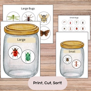 24 Bug Size Sorting Activity, Montessori Style, Preschool Math, Speech ...