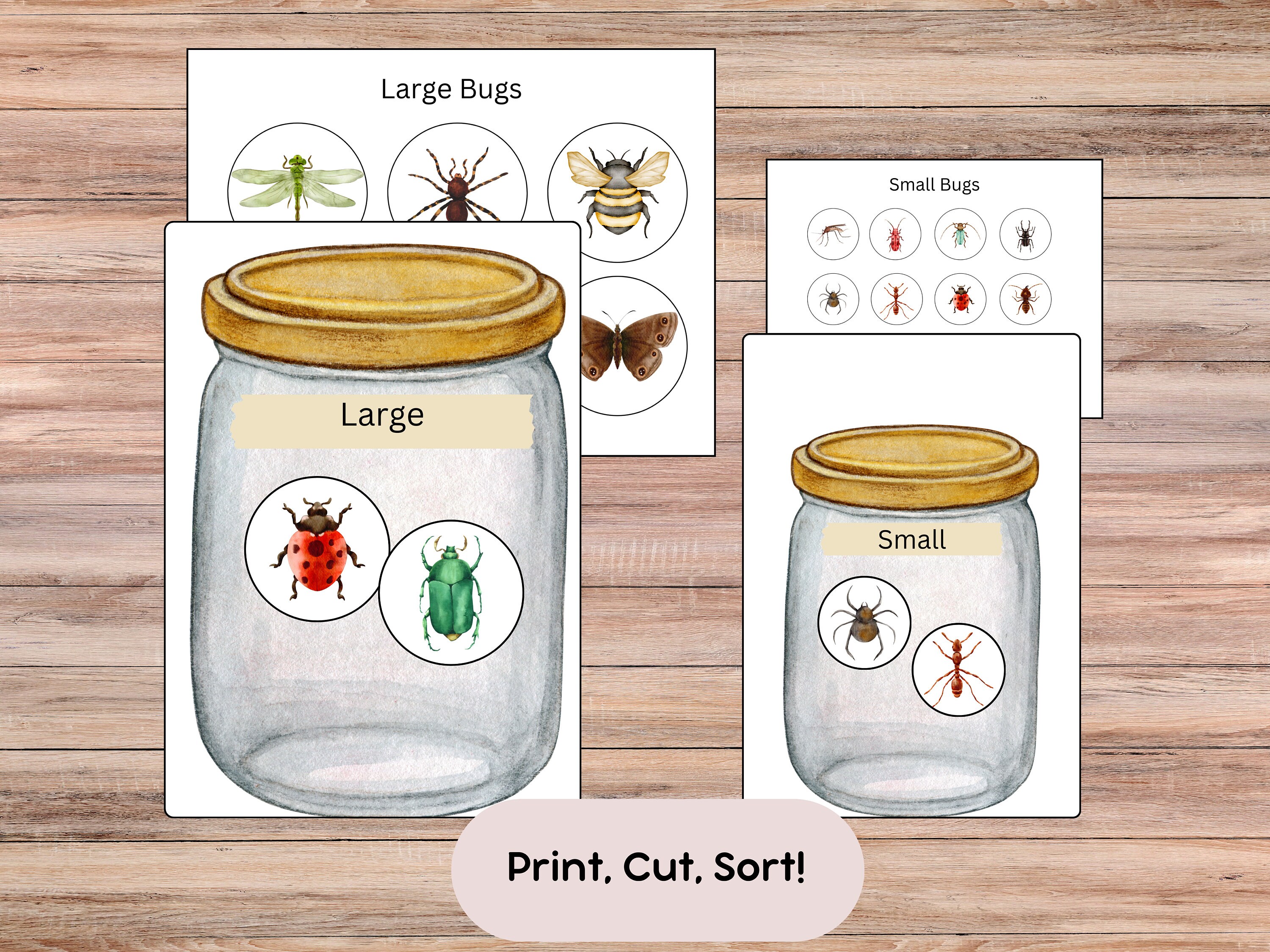 24 Bug Size Sorting Activity, Montessori Style, Preschool Math, Speech ...