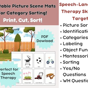 48 Category Matching Picture Scene Mats, Speech Therapy Activity ...