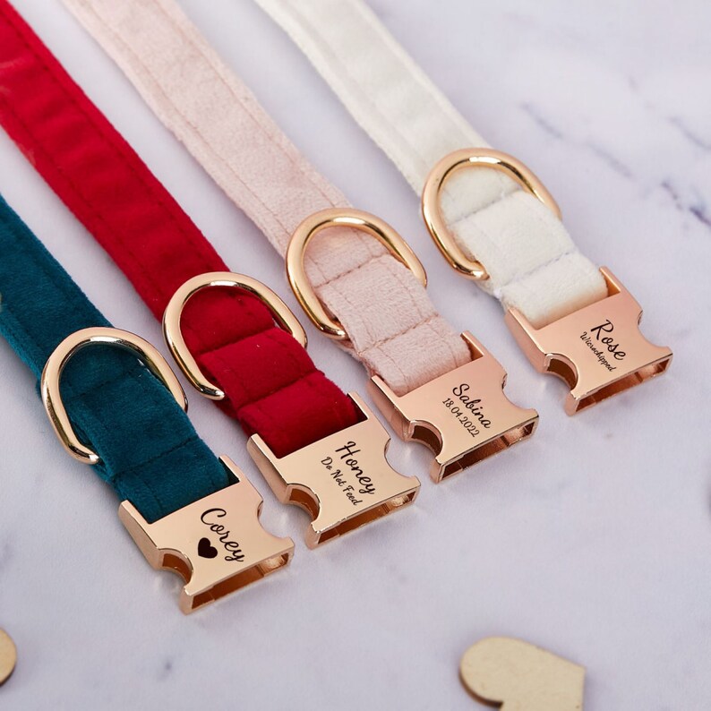 Multiple Colour Velvet Personalise Dog Collar Leash Set With Bow,pink ...