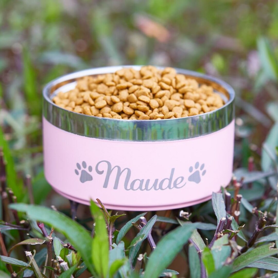 Personalized Dog Bowl Custom Dog Feeder Bowls Insulated,stainless Steel ...