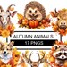 Watercolor Autumn Animal Clipart: Fall Woodland PNG (digital Download ...
