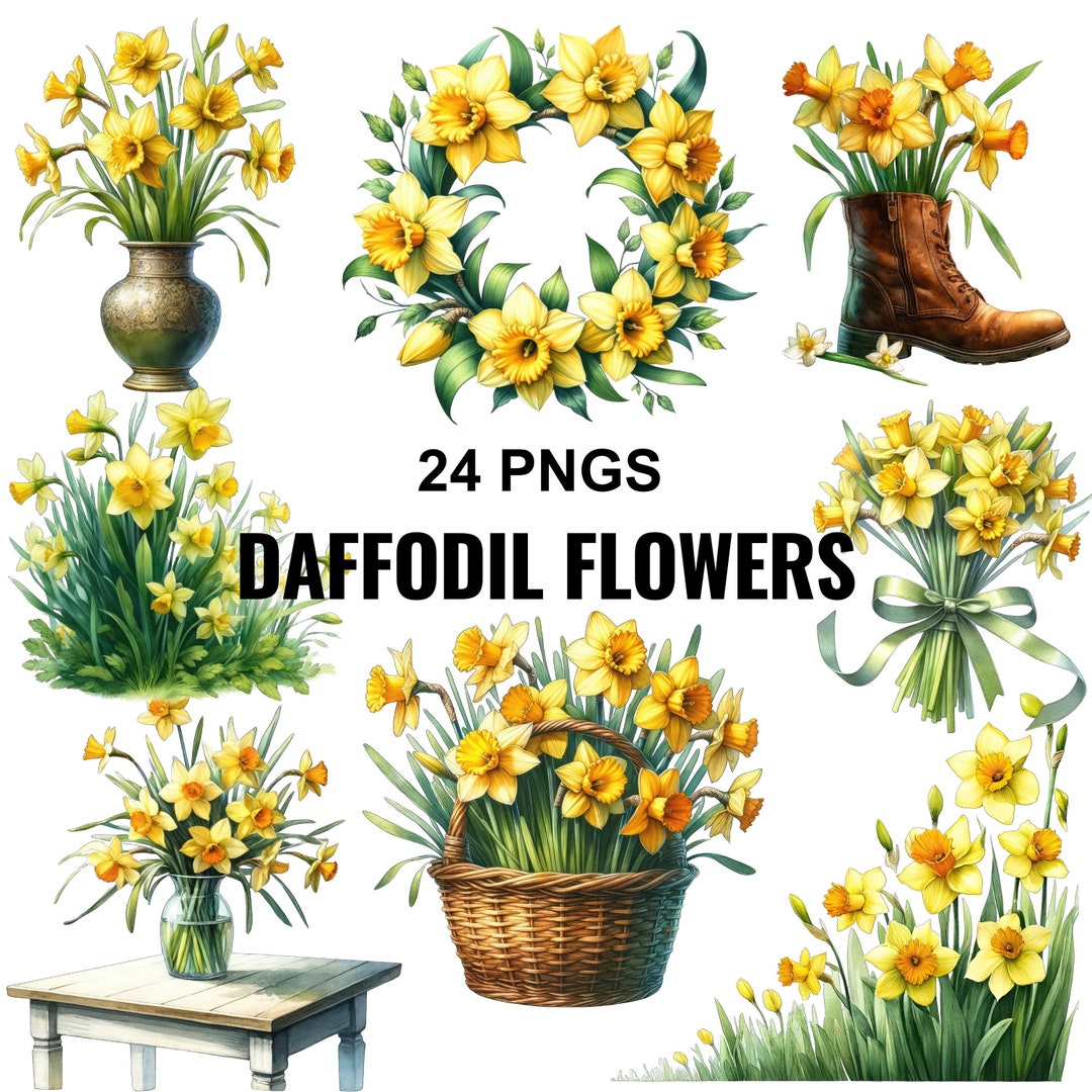 Daffodil Flowers Clipart, Daffodil Flower Png, Daffodil Clipart ...